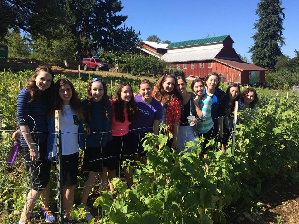 NCSY GIVE WEST: Day #23 - GIVE WEST